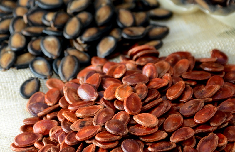 Melon Seeds · Chinese Lunar New Year in Hong Kong